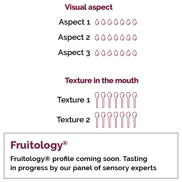 Blueberry Puree 100% : Boiron 1 Kg. - bakeryland