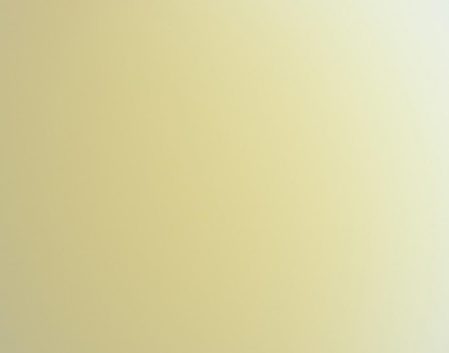 Lemon Puree 100% : Boiron 1 Kg. - bakeryland