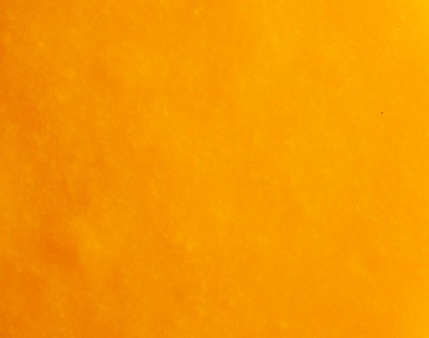 Mango Puree 100% : Boiron 1 Kg. - bakeryland