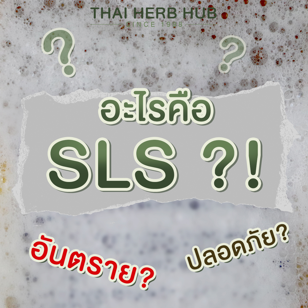 ทำไมต้องเลี่ยงสาร SLS ?! - herbforhair