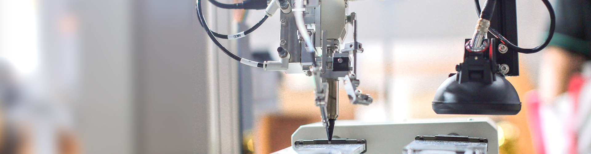 PRODUCT - Thai-hibex