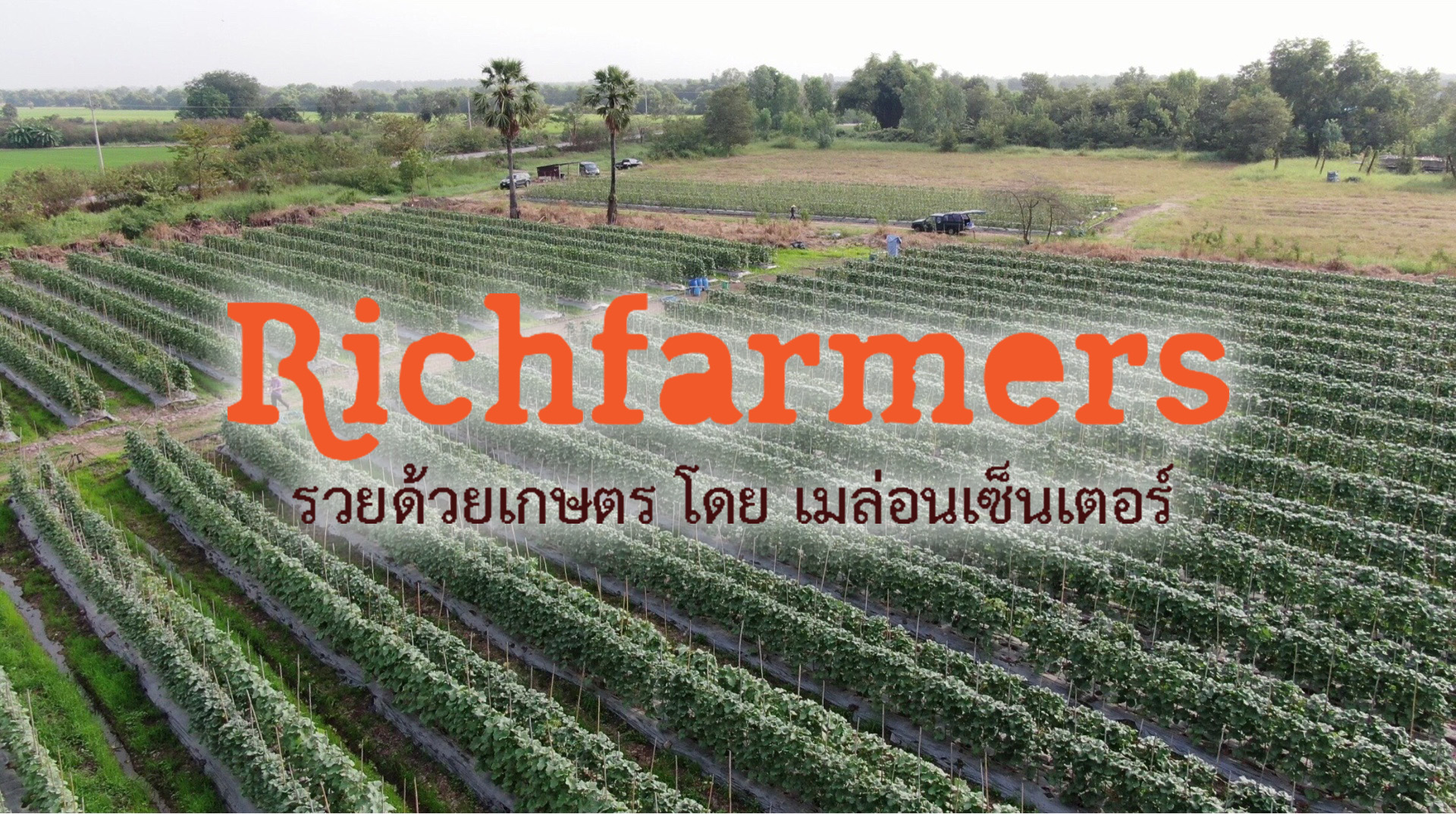 rich-farmers.com