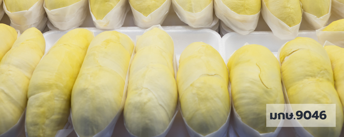 มกษ.9046 - ucsthai