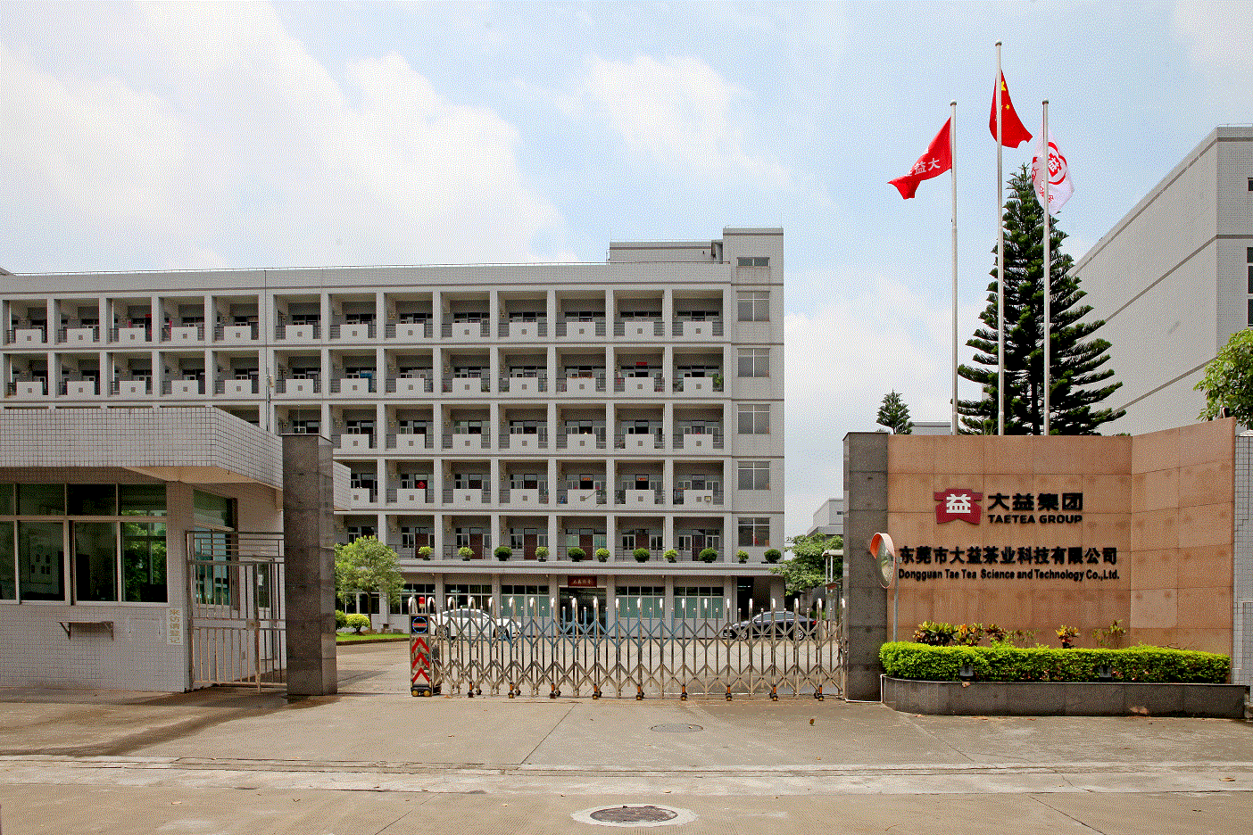 dongguan tae tea - taetea
