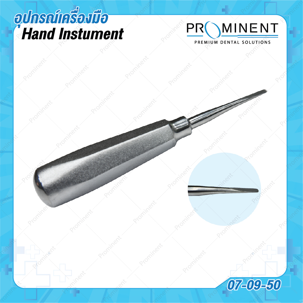 Bein 4.0mm. root elevators(Luxator) ตรง - prominent-dental