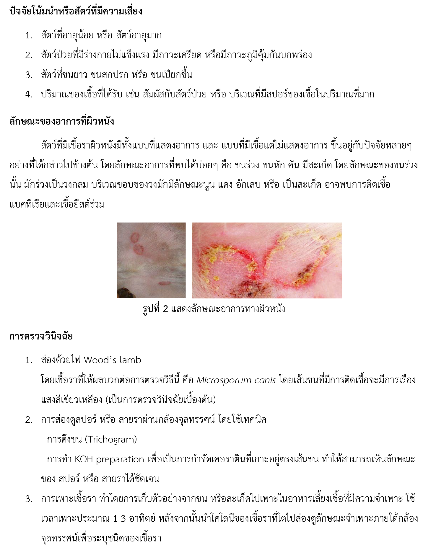 โรคเชื้อราผิวหนัง (Dermatophytosis in animals) - epofclinic