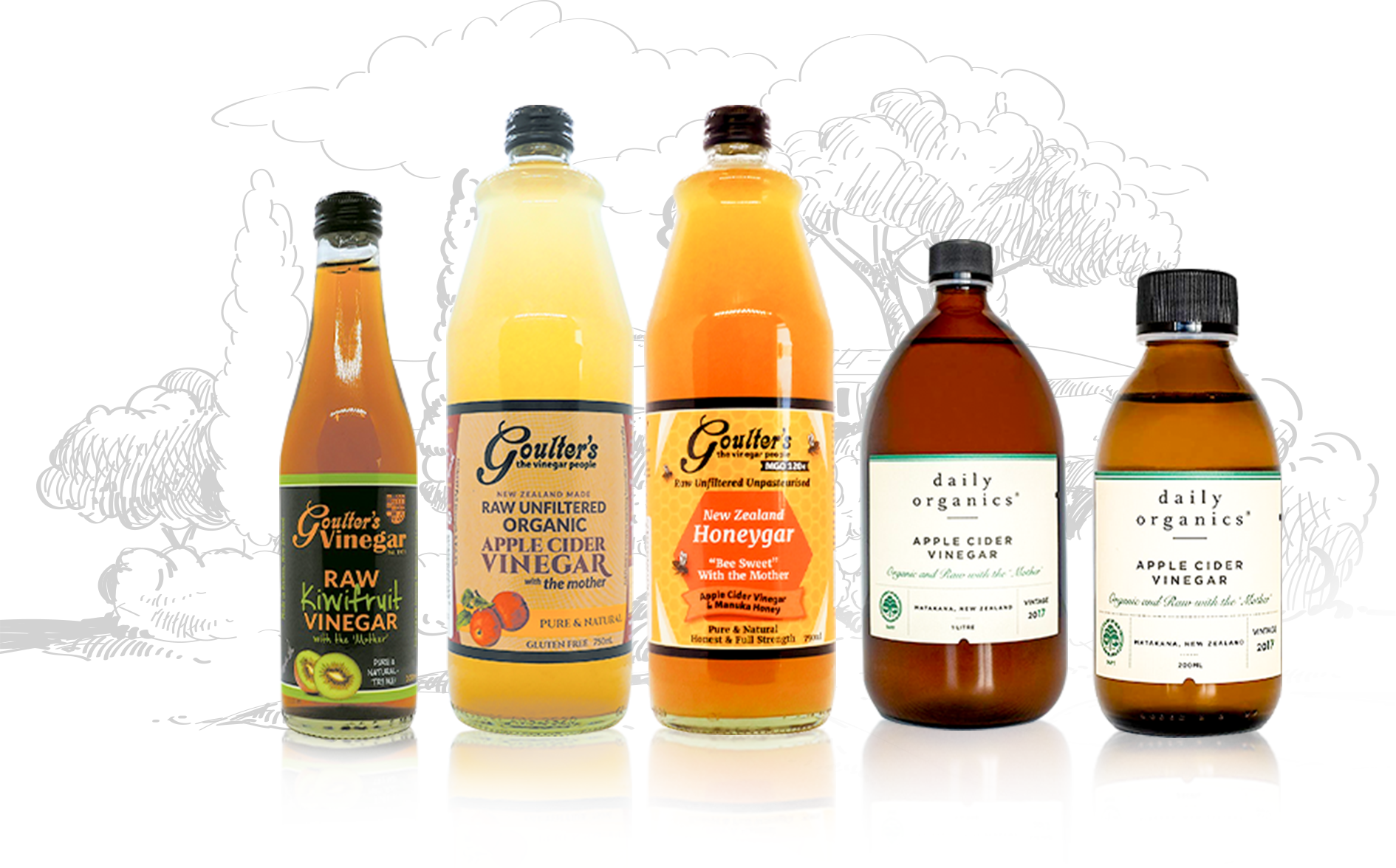 Seven Elephants Trading | Premium Wine Shop and Apple Cider Vinegar