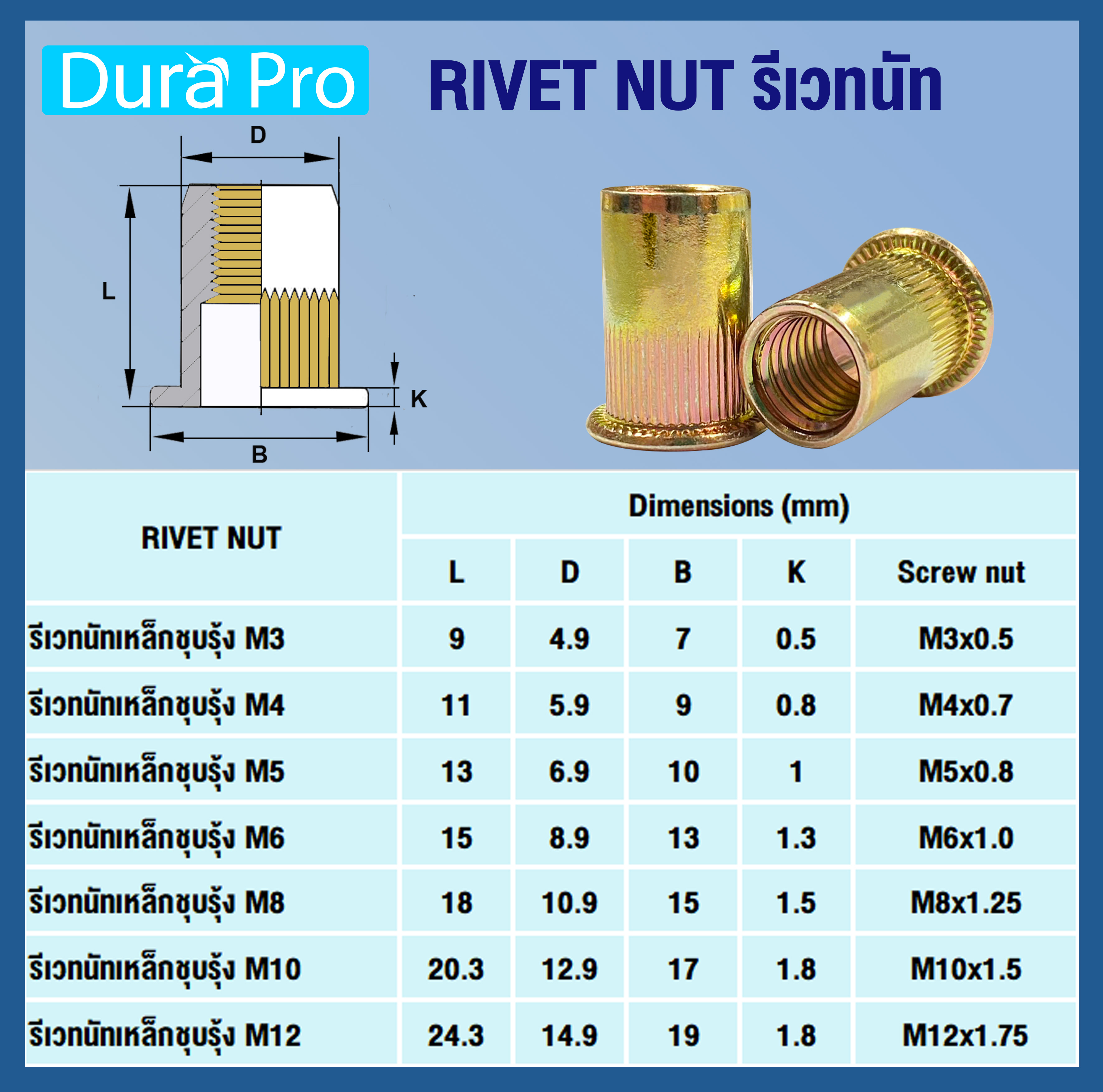 รีเวทนัทเหล็กชุบซิ้งค์รุ้ง ( RIVET NUT STEEL ZINC YELLOW ) เบอร์ M12 ...
