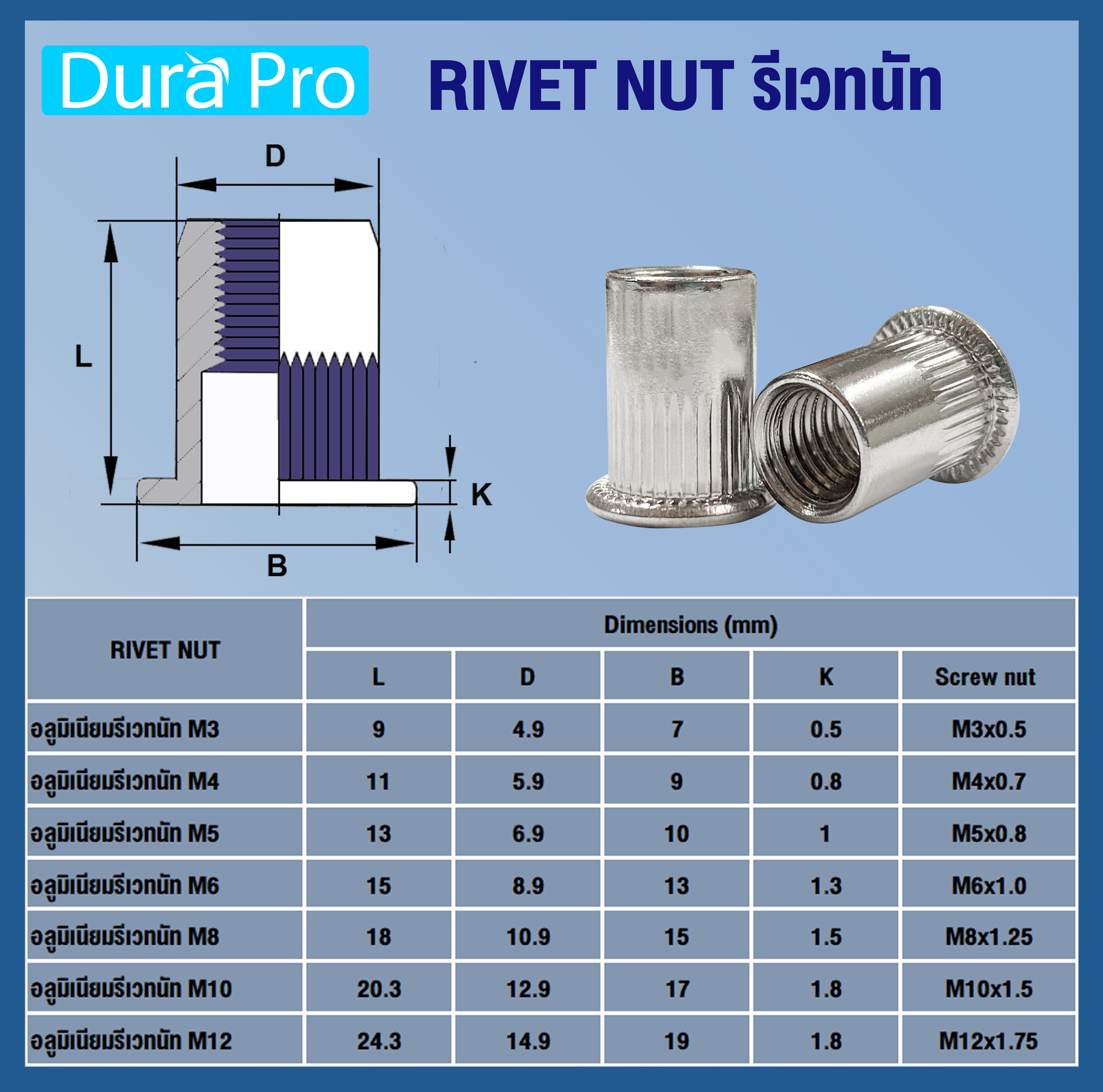 รีเวทนัทอลูมิเนียม ( ALUMINIUM RIVET NUT ) เบอร์ M3 ( แพ็ค 20 ชิ้น ...