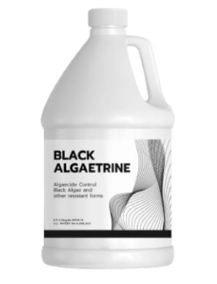Black Algaetrine - paradisepoolphuket