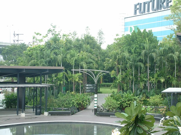 Forest Park Future Park,Rangsit - artgreengardening