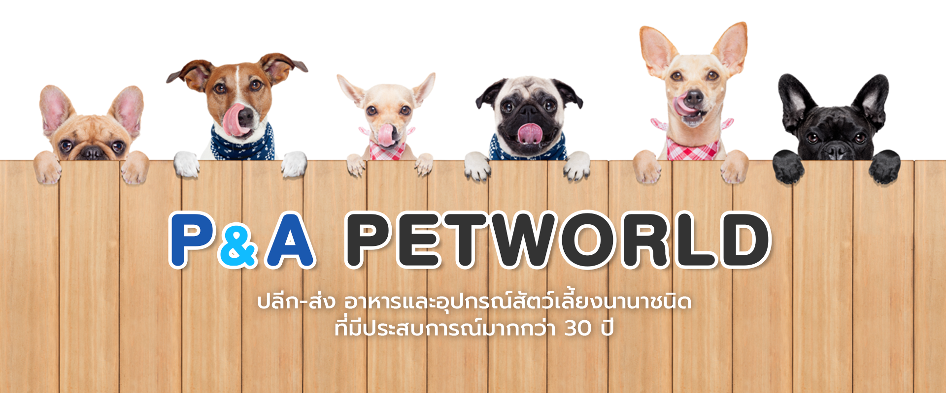 PA-PETWORLD 88