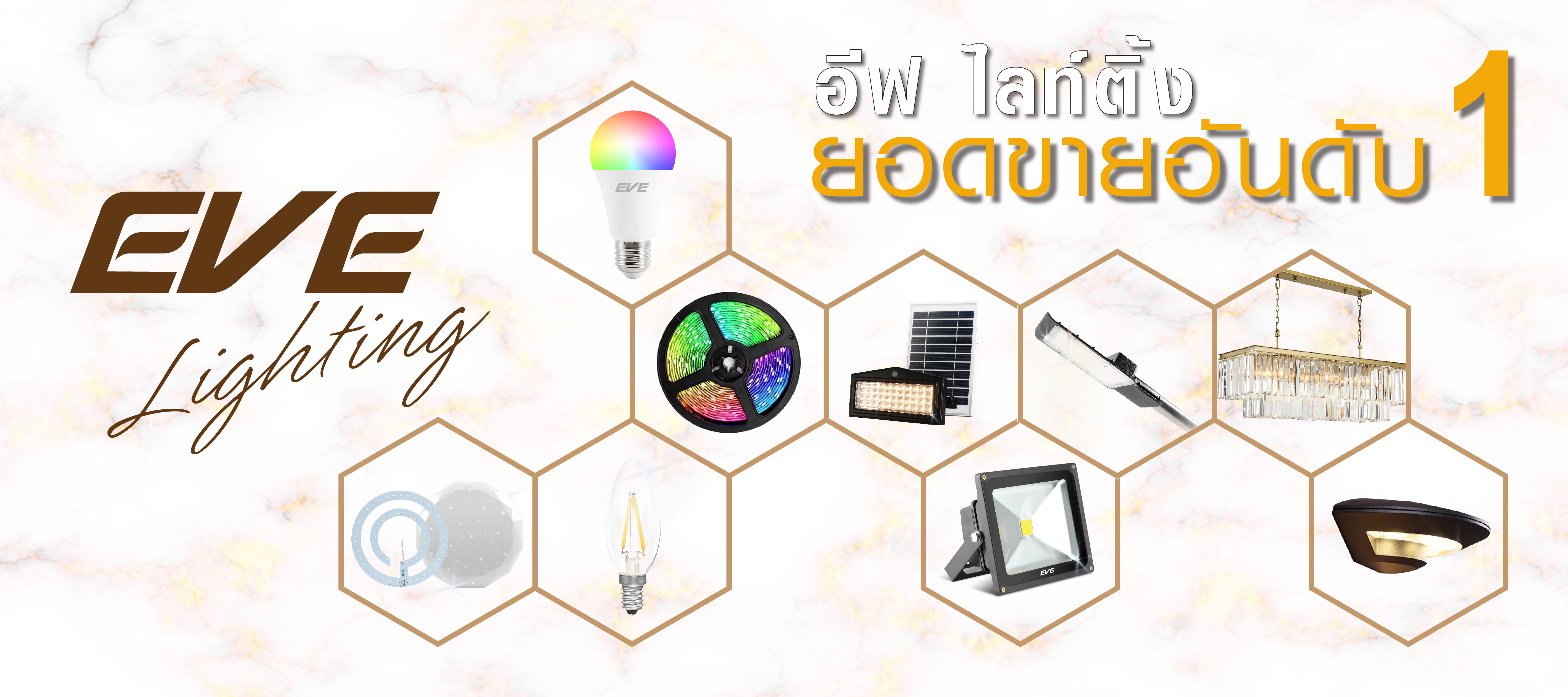 Www.evelighting.com
