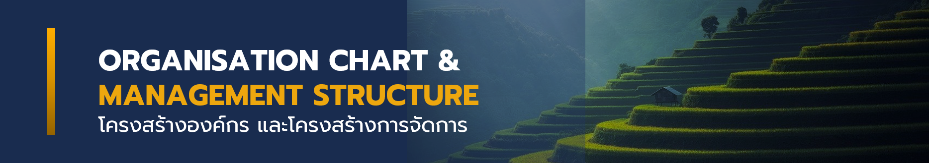 Organisation Chart - saf