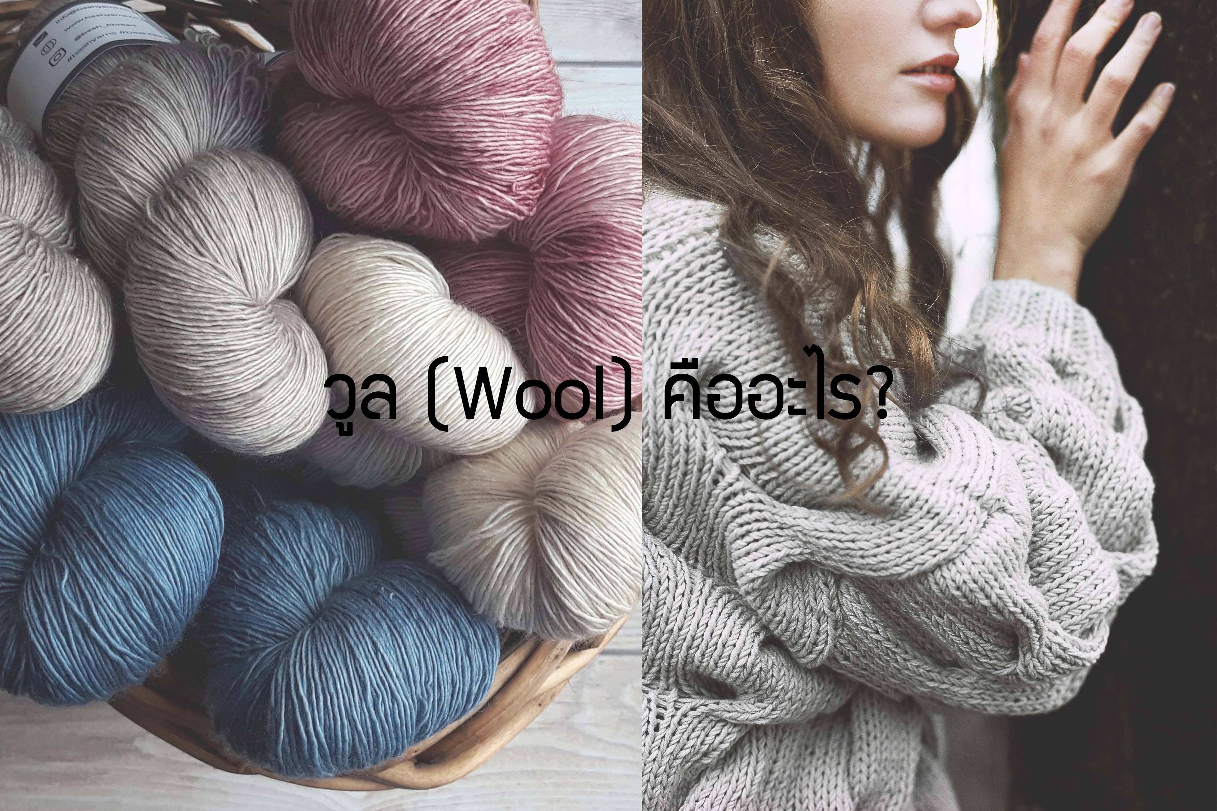 ผ้าวูล (Wool) คืออะไร ใส่ในอากาศแบบไหนถึงจะเหมาะ! สบายๆ คลายหนาว ...