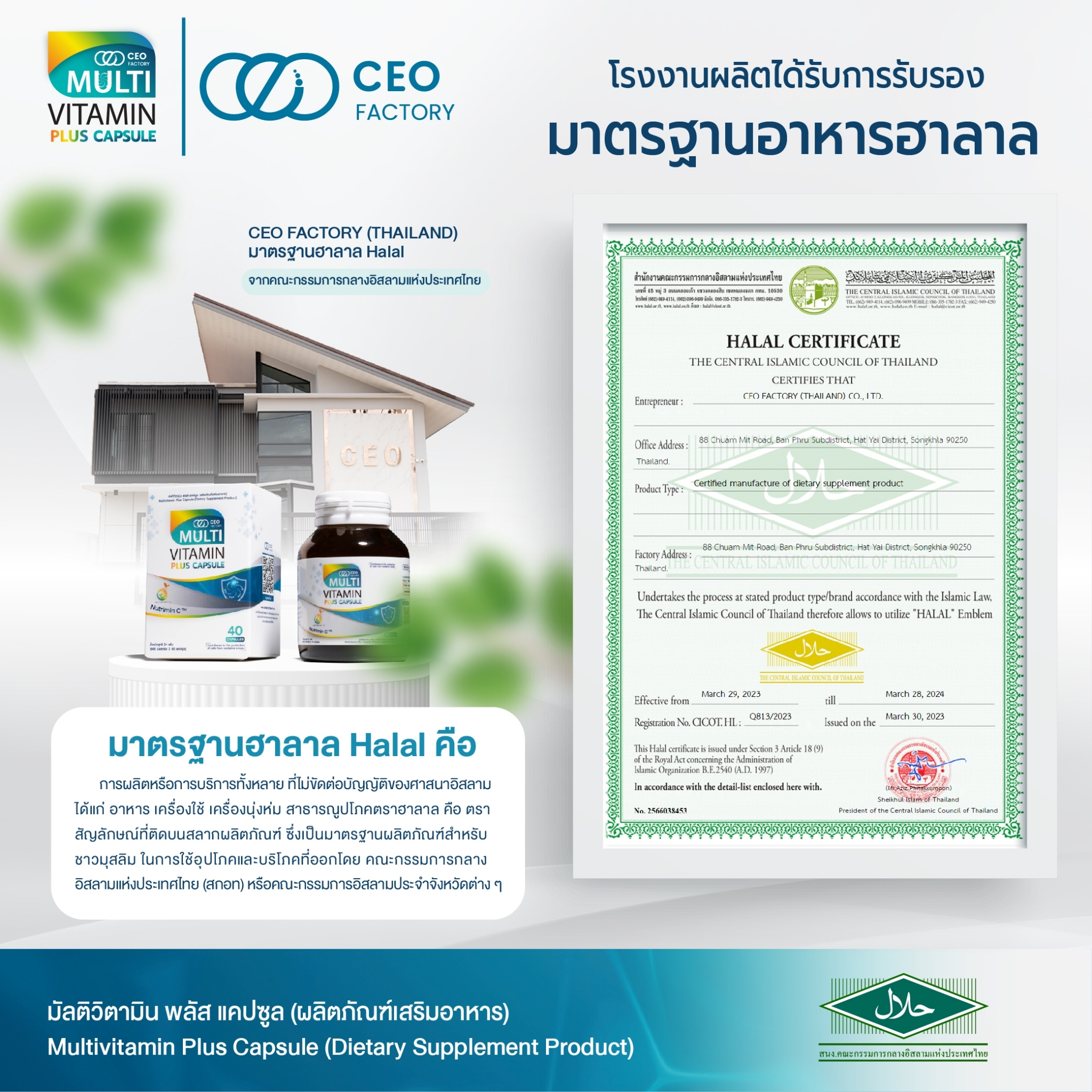 ceofactorythailand