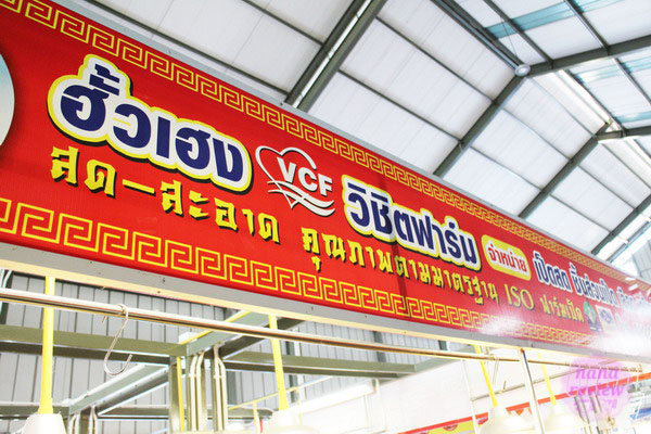 Food Villa Ratchaphruek - nanareview