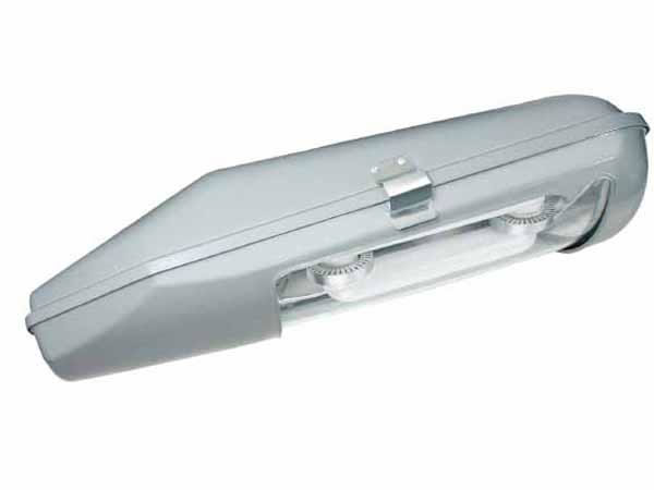 Induction Lamp Street Light - enersavepower