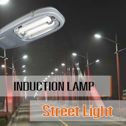 Induction Lamp Street Light - enersavepower