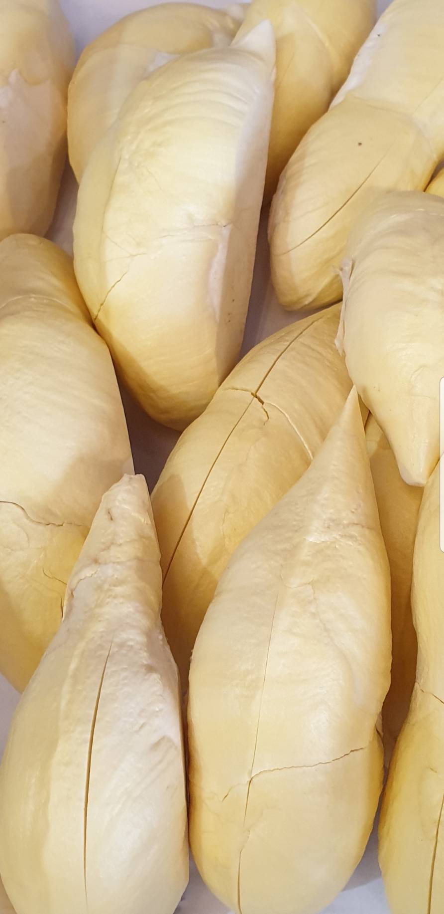 Monthong Durian - freshlyfoods-thailand