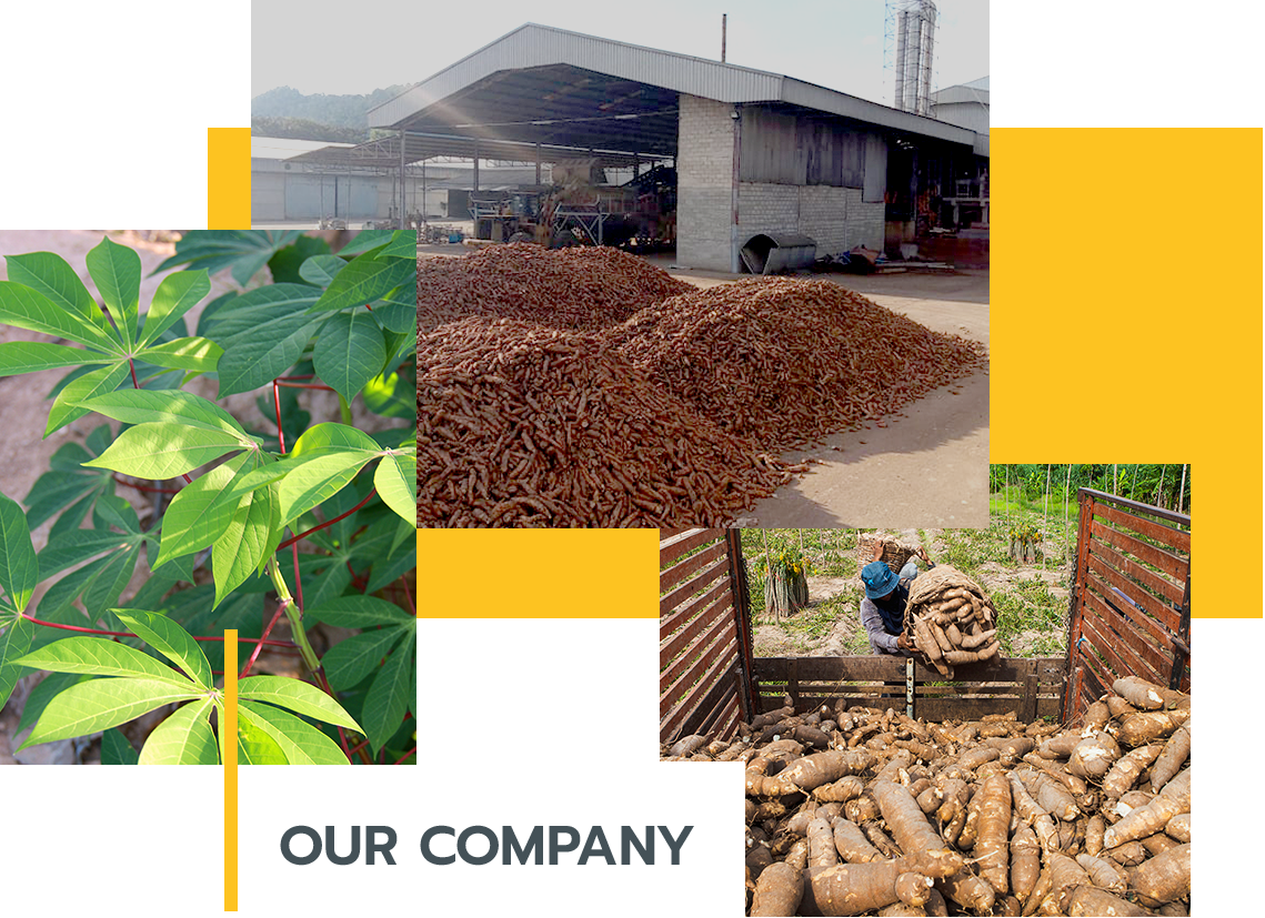 Comparative Advantages - tapiocastarchantaburi