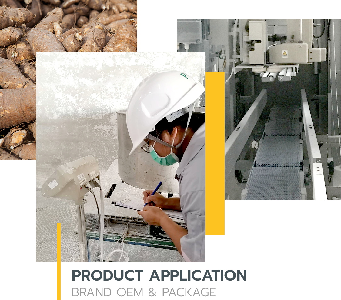 Tapioca Native & Modify Starch