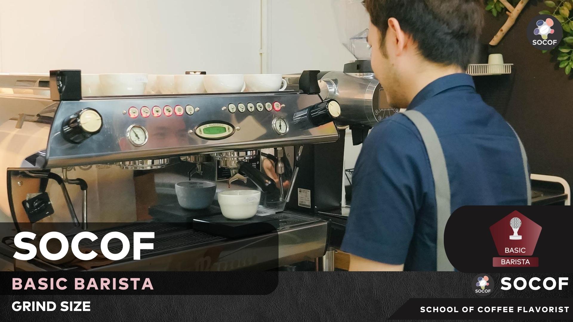 SOCOF Basic Barista - ministryofroasters