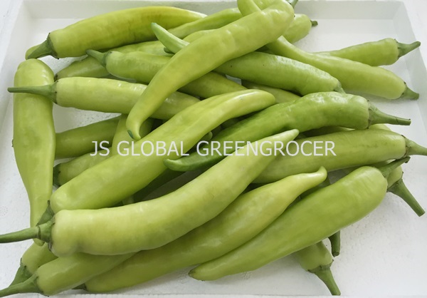 Chilli (Long green) - jsglobalgreengrocer