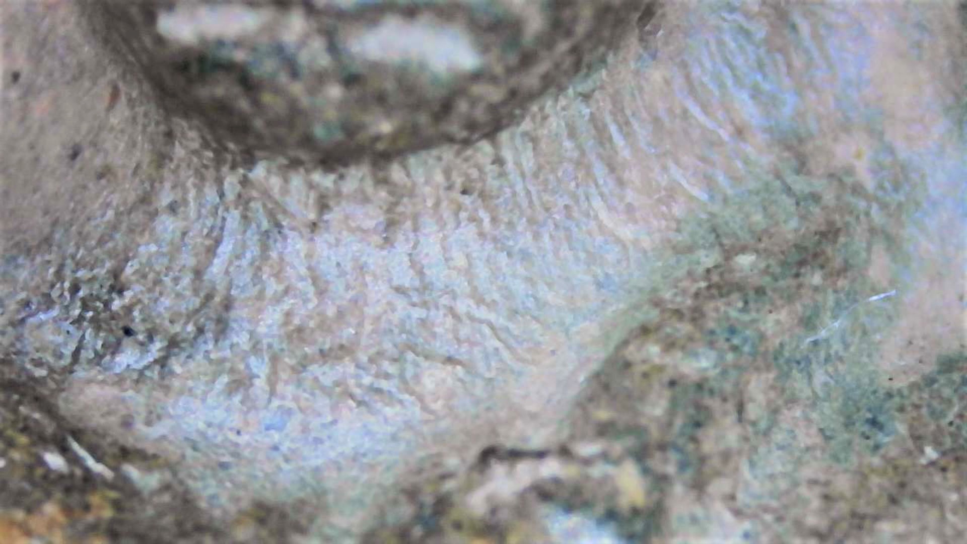 Phra Kampang Soomkor - Pim Yai with Lineal Decorative ...