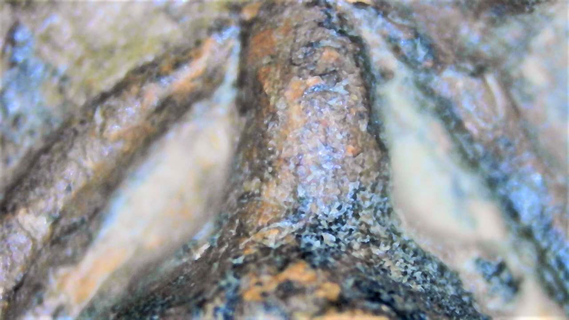 Phra Kampang Soomkor - Pim Yai with Lineal Decorative ...