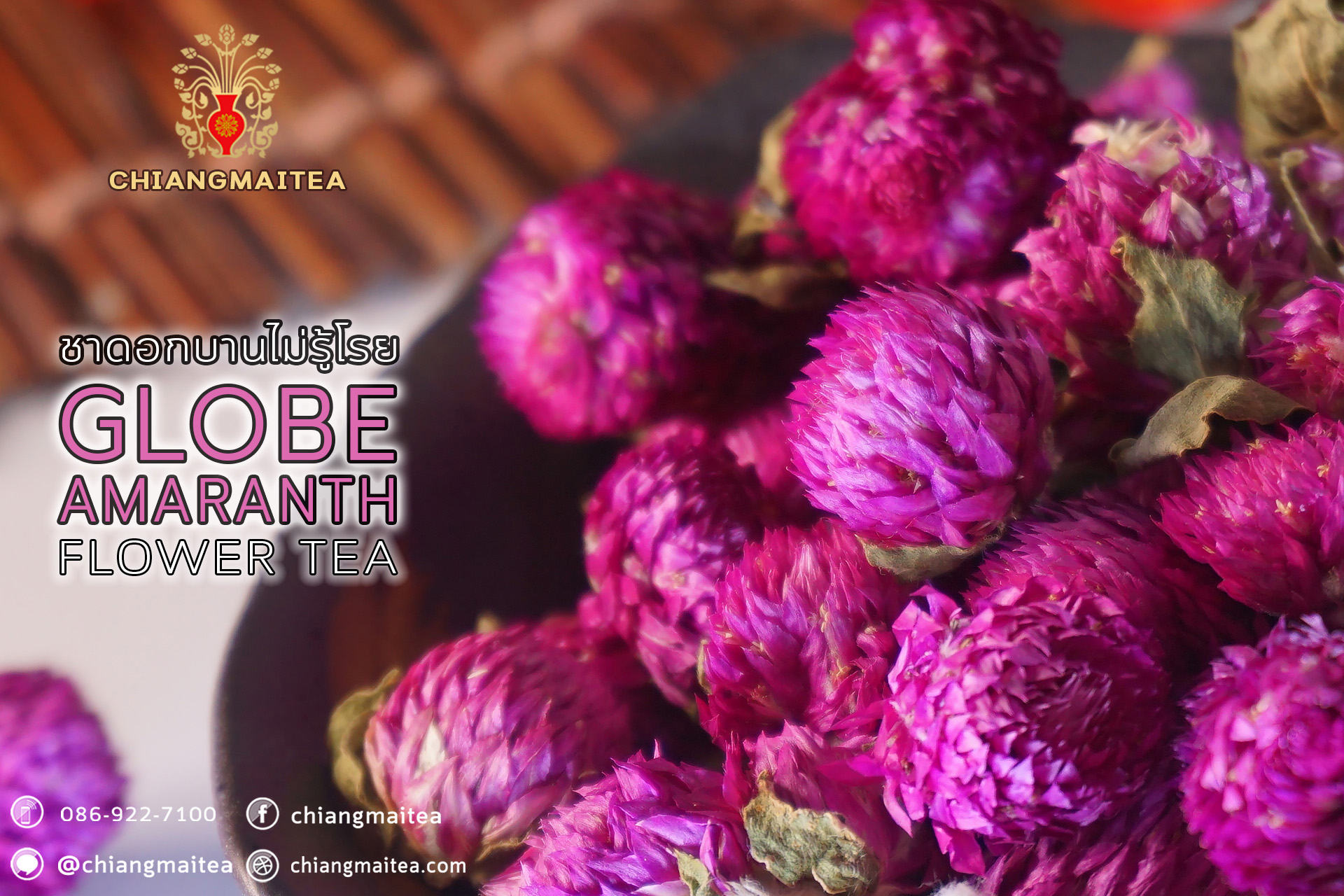 ชาดอกบานไม่รู้โรย (Globe Amaranth Tea) 100 g. - Chiangmaitea