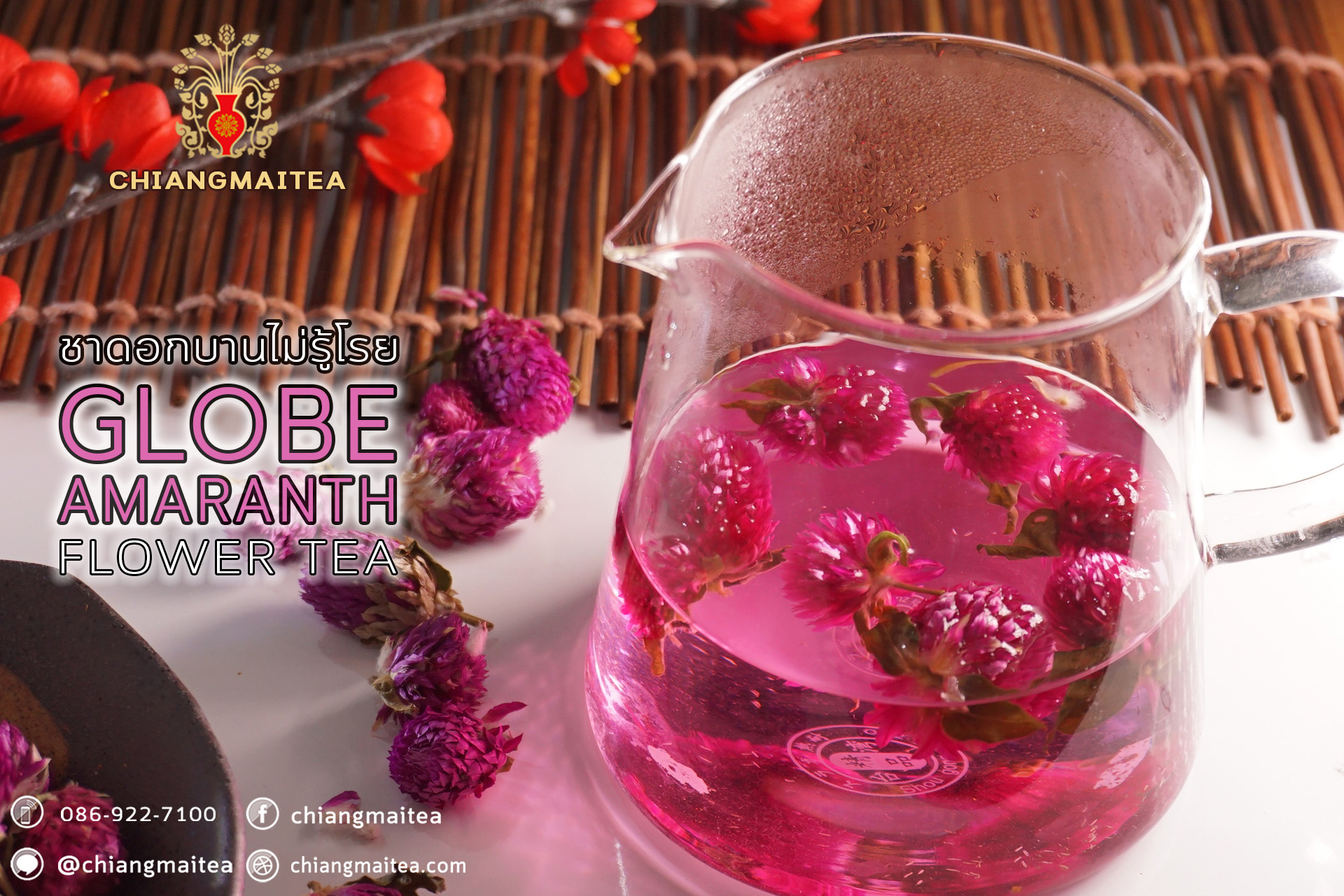 ชาดอกบานไม่รู้โรย (Globe Amaranth Tea) 100 g. - Chiangmaitea