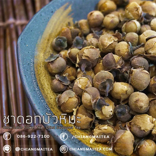 ชาดอกบัวหิมะ (Snow Lotus Flower Tea) 100 g. - Chiangmaitea