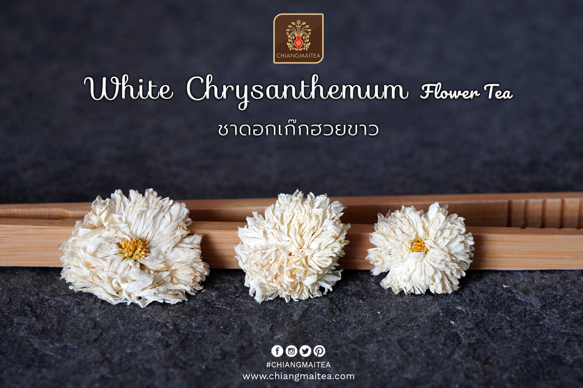 ชาดอกเก๊กฮวยขาว (White Chrysanthemum Flower Tea) 100 g. - Chiangmaitea