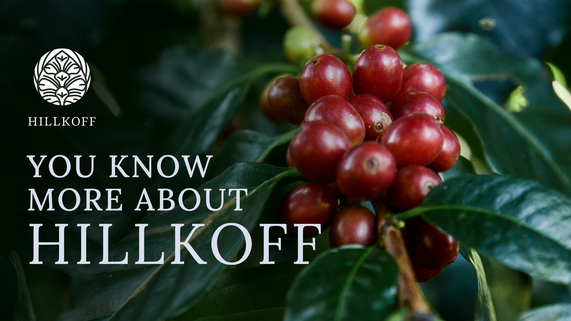 Hillkoff Coffee Roaster เมล็ดกาแฟ กาแฟคั่ว เครื่องชงกาแฟ