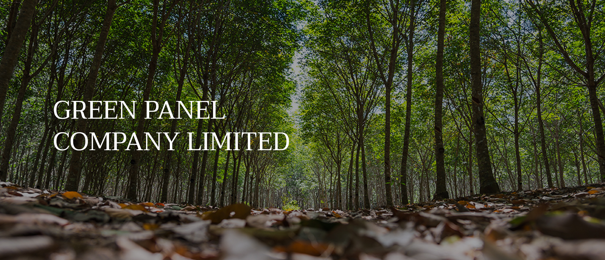 GREEN PANEL COMPANY LIMITED particle board is made from 100% exhausted ...