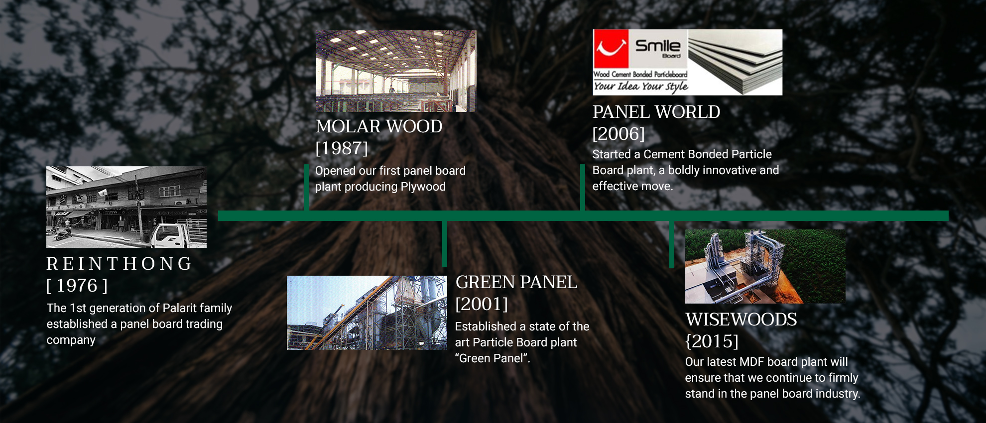 OUR STORY - greenpanel