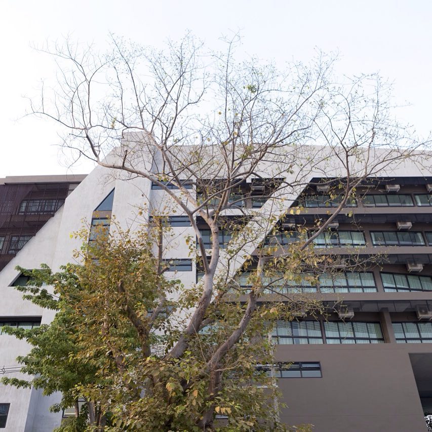 Nine forty one Hotel