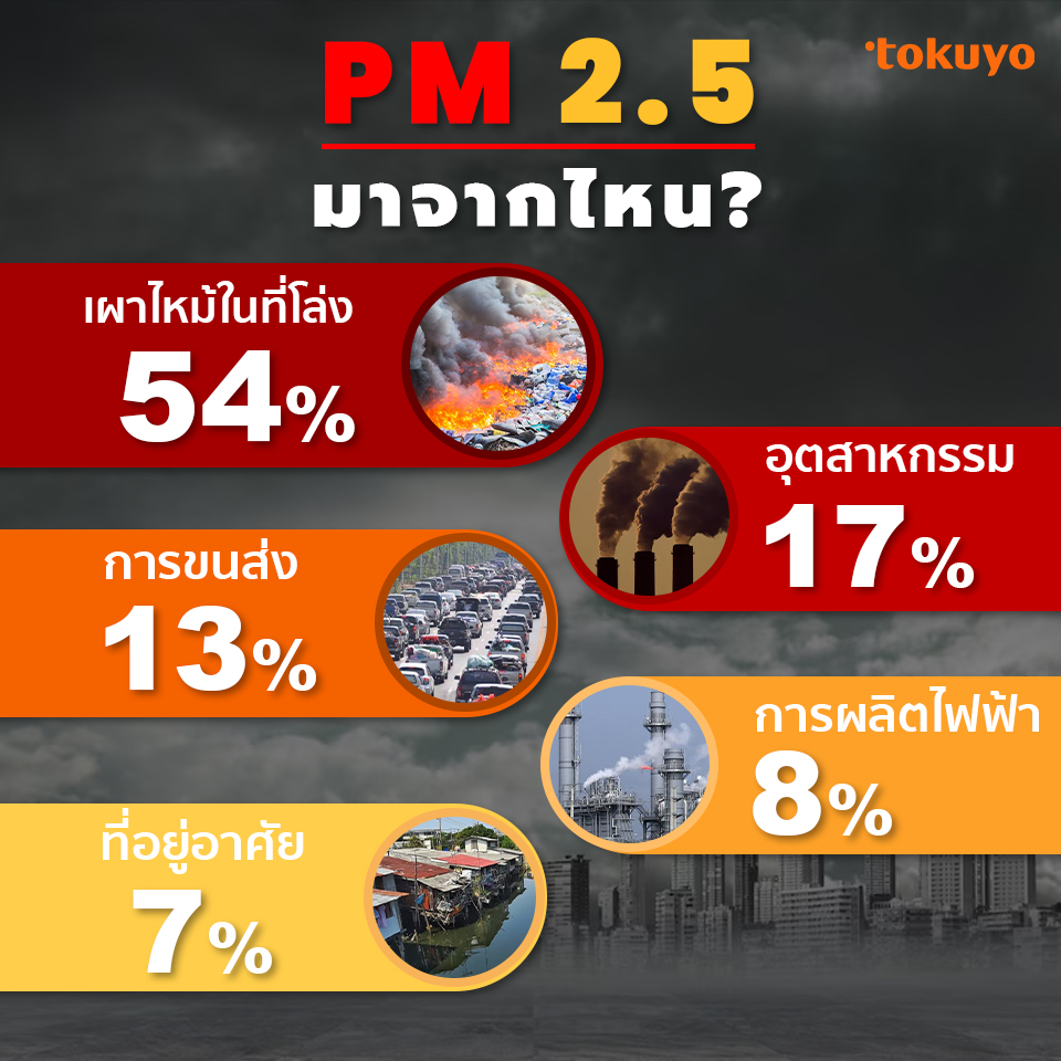 PM2.5 ฝุ่นร้าย ทำลายปอด