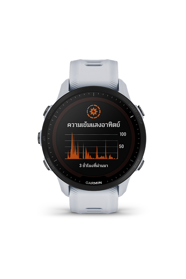 GARMIN FORERUNNER 955 SOLAR WHITESTONE - timekeepershop
