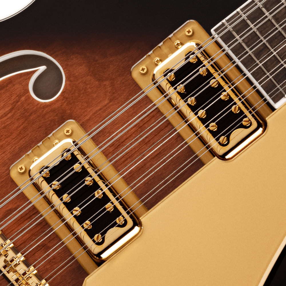 Gretsch G5422G-12 Electromatic Classic Hollowbody Double-Cut 12-string ...