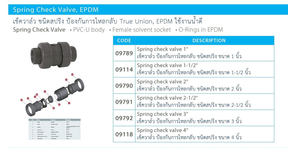 สปริงเช็ควาล์ว/Astral pool /Cepex/ Spring Check Valve/ 2'' - winwinpoolshop