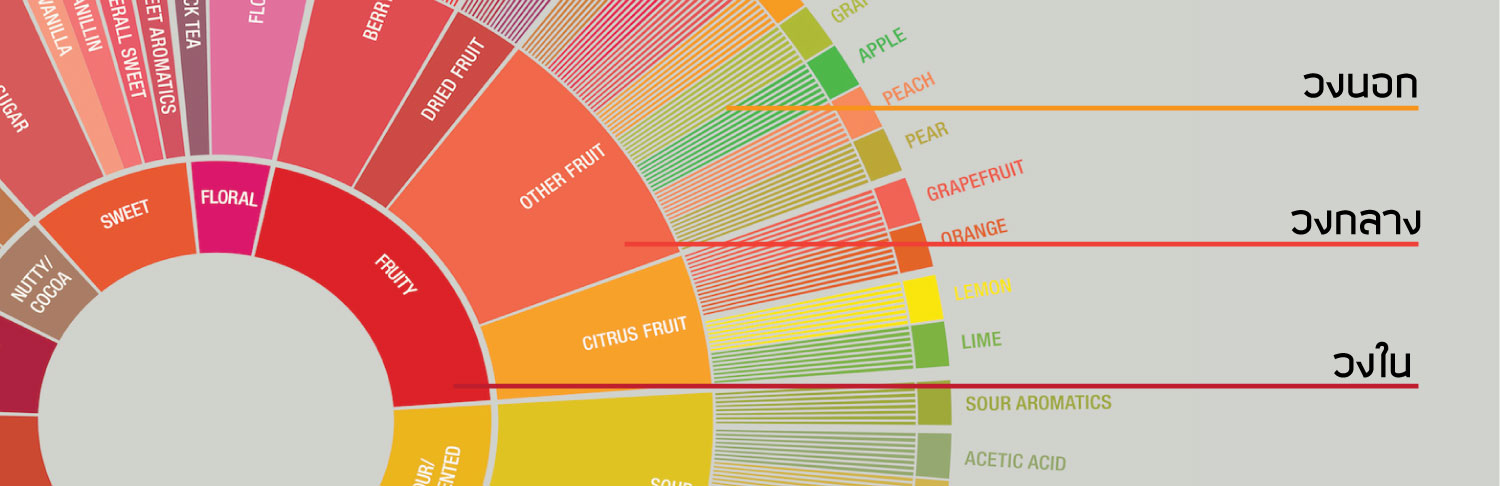10 คำถามเกี่ยวกับ Coffee Taster's Flavor Wheel - nlcoffee