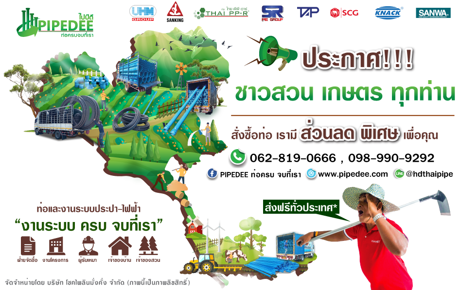 PipeDee ศูนย์รวมท่อPe,ท่อHDPE,PVC,UPVC,PP,PB