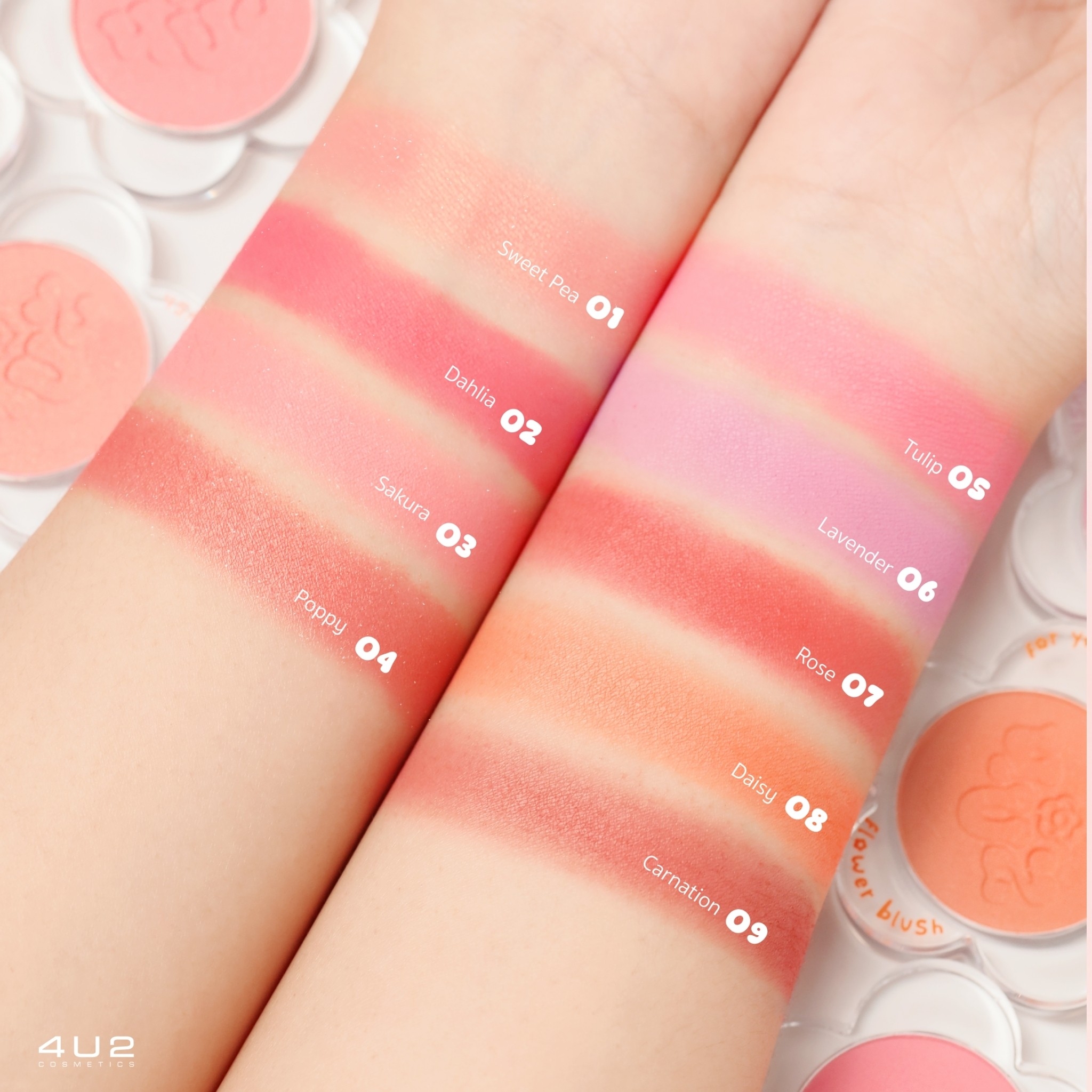 4U2 FLOWER BLUSH - 4u2thailand