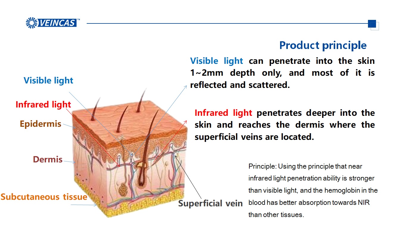 Projection Vein Finder -VEINCAS V800 series - daasia