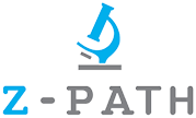 About us - z-path
