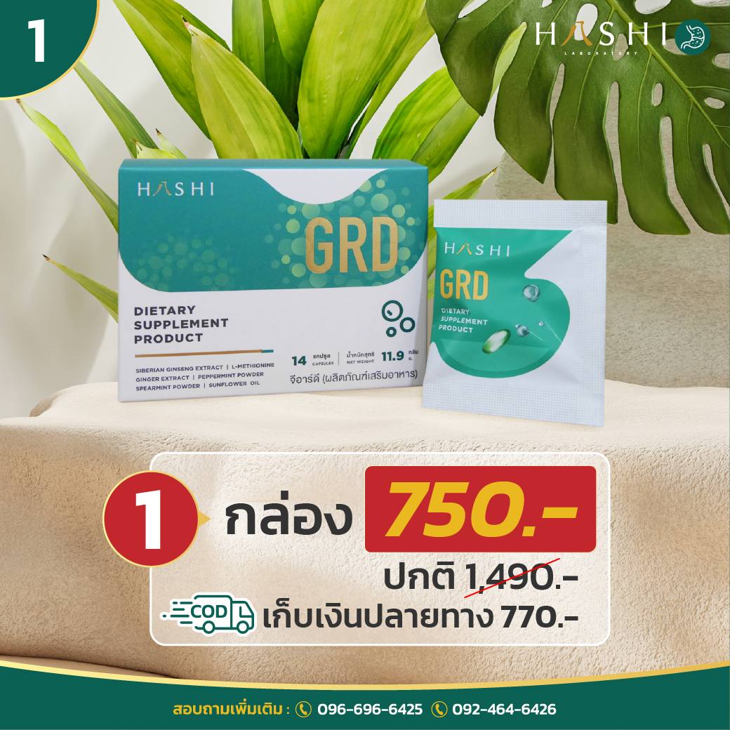 โปรโมชั่น HASHI GRD - hashi-grd