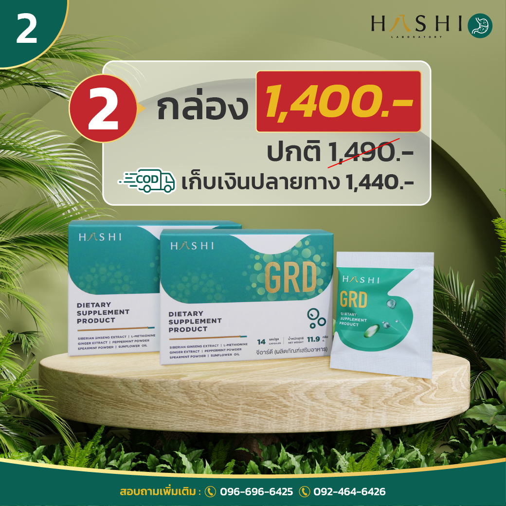 โปรโมชั่น HASHI GRD - hashi-grd