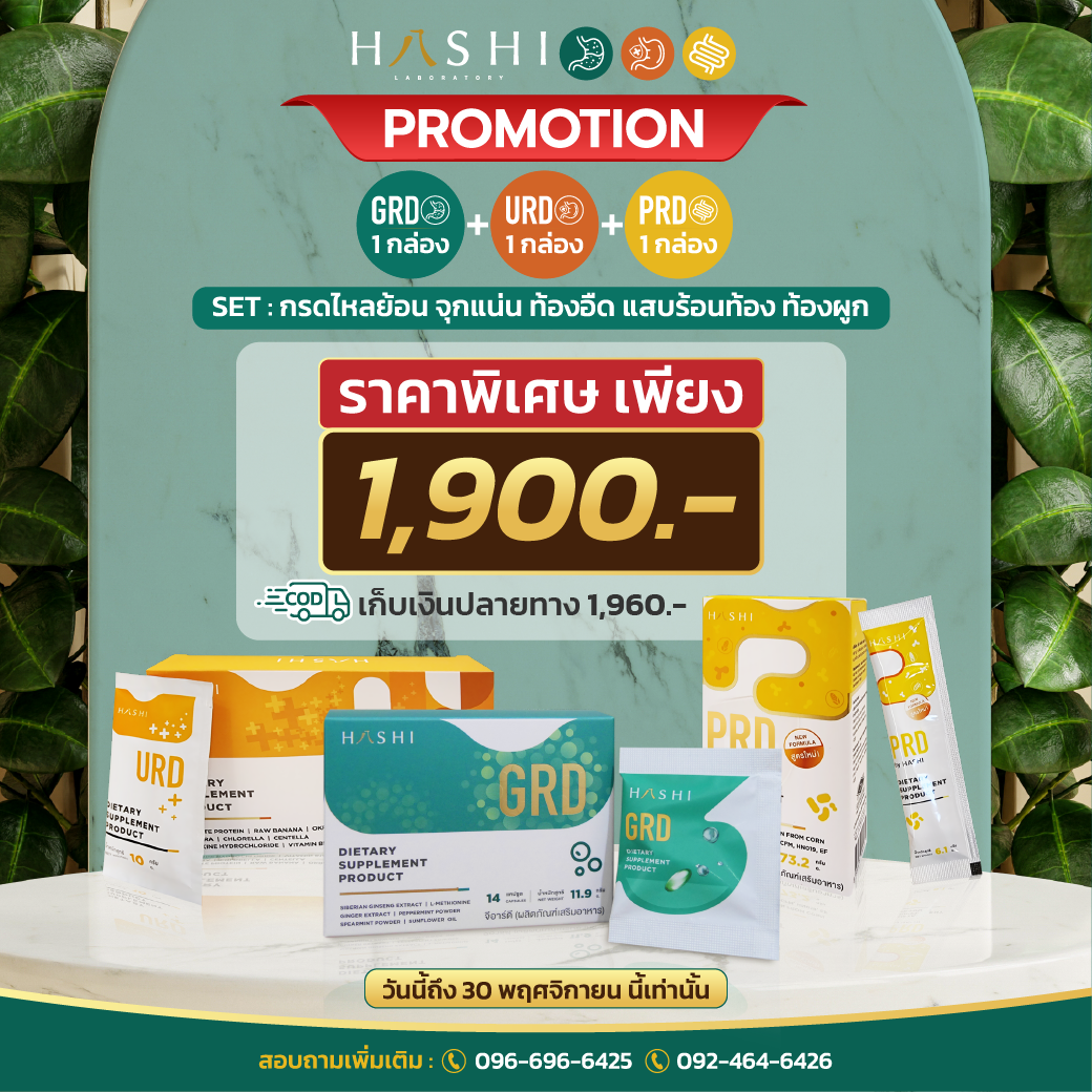 โปรโมชั่น HASHI GRD - hashi-grd